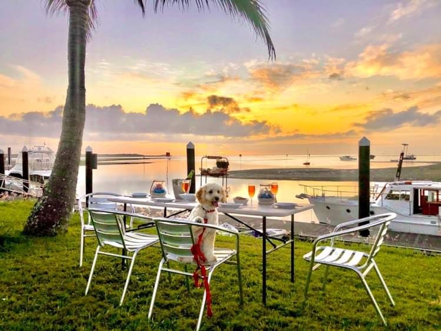 Join our Club - Little Ship Club