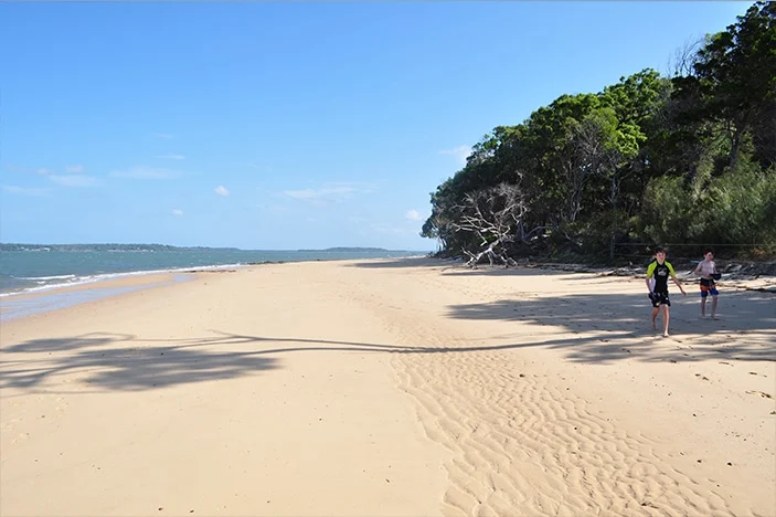 Coochie - Little Ship Club